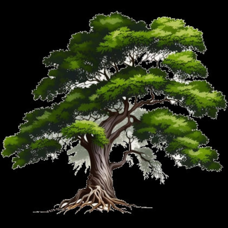 10 Stunning Big Tree Clip Art Designs for Your Creative Projects - Etsy