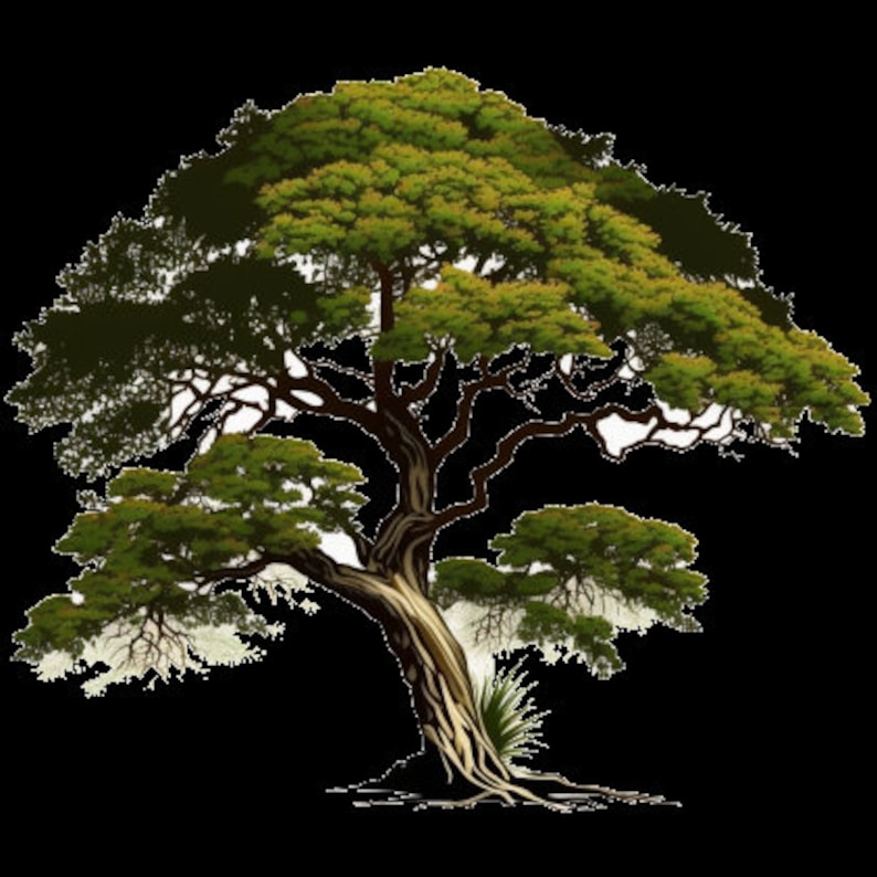 10 Stunning Big Tree Clip Art Designs for Your Creative Projects - Etsy