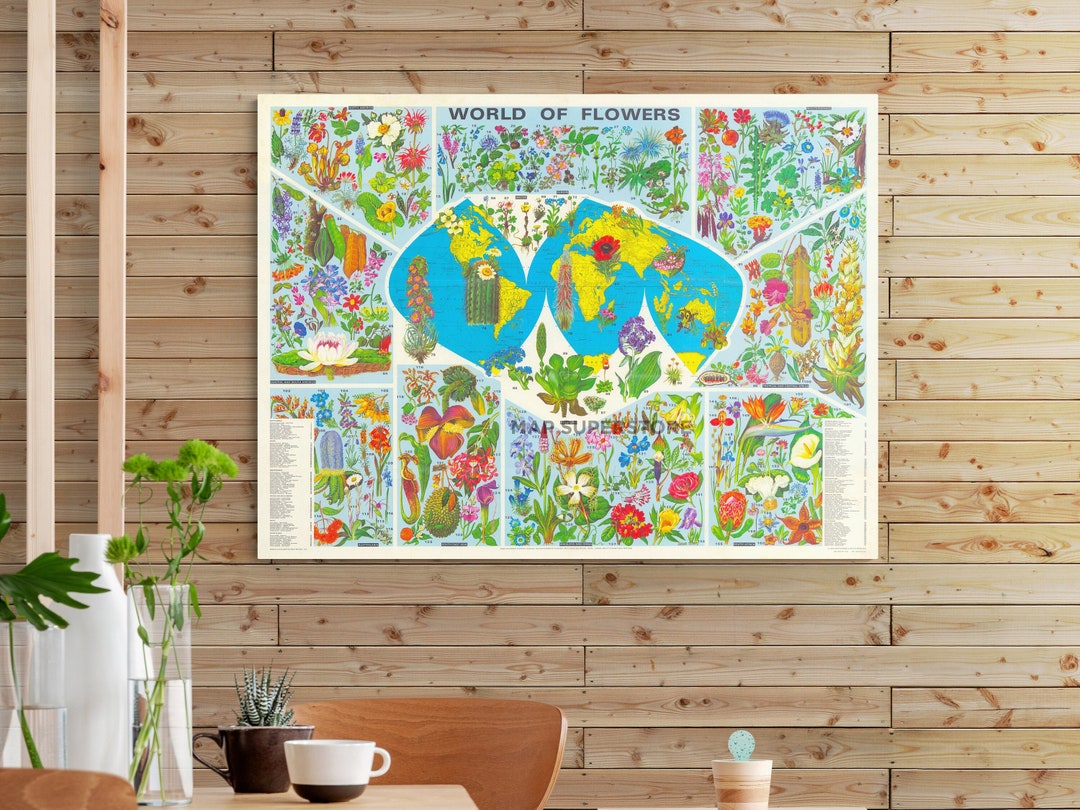 World of Flowers Map: Floral Diversity Across the Globe | Canvas or ...