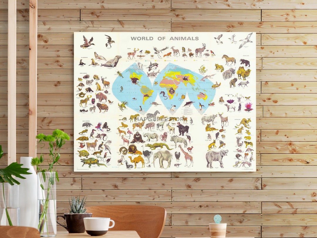World of Animals Map: Wildlife Diversity Across the Globe | Canvas or ...