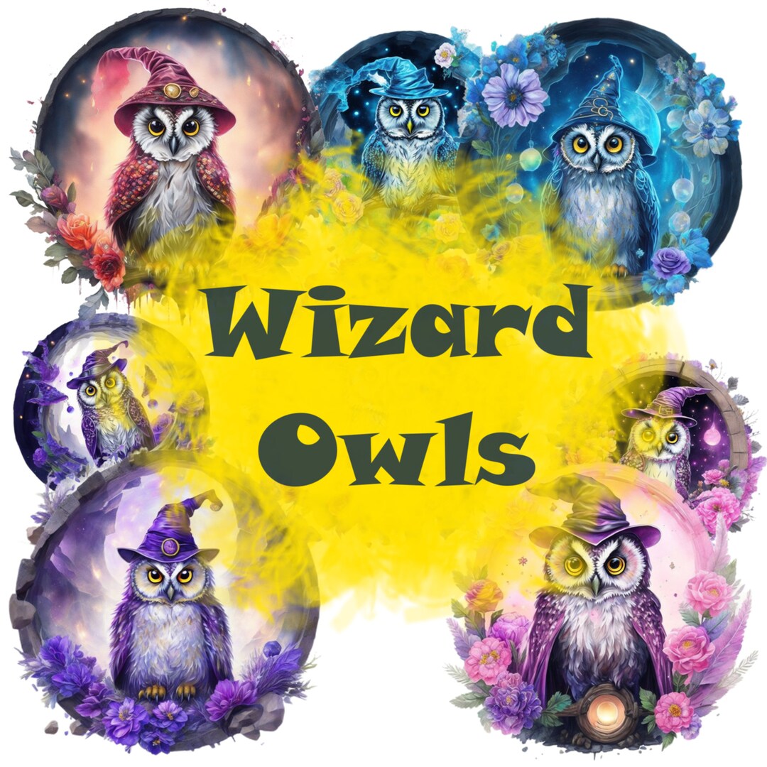 Magical Wizard Owl Clip Art Bundle 32 PNG Transparent and JPG White ...