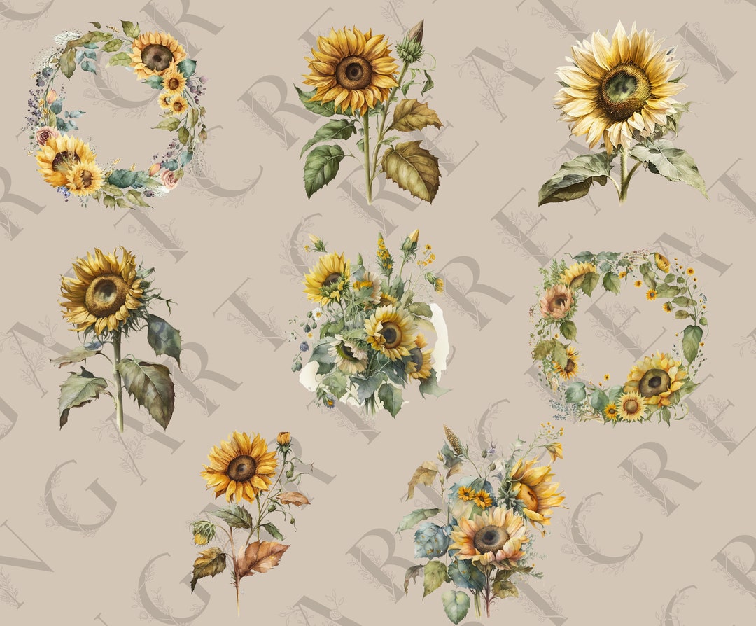 Watercolor Sunflower Clipart Bundle Floral Fall Sunflower Bouquets ...