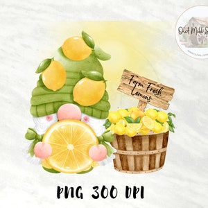 Farm Fresh Lemon Clipart, Gnome Lemon Clipart, Watercolor Farmhouse Png ...