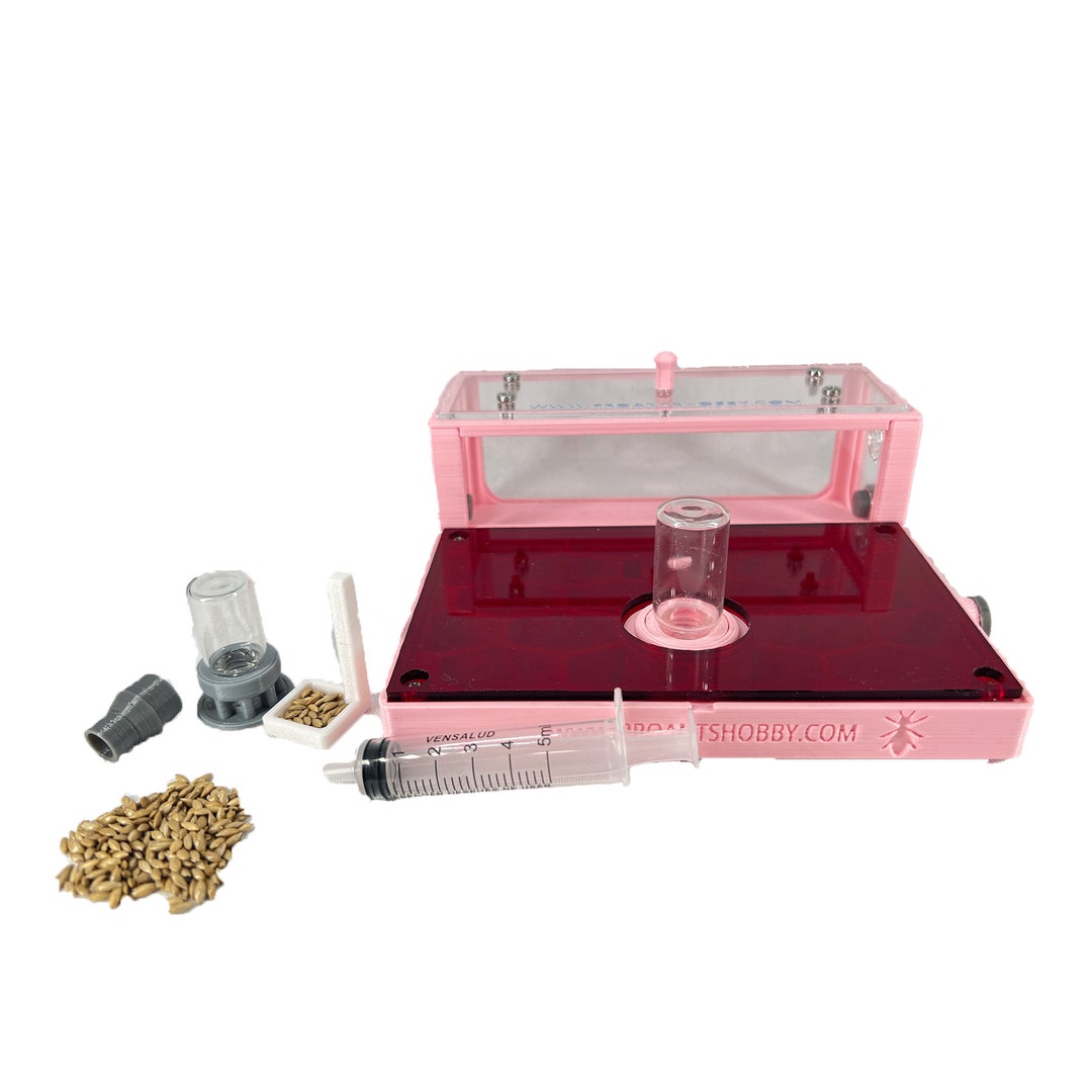 Ant Farm 3d Anthill Anthill Model Eco 15 queen Ant Free - Etsy