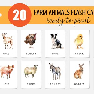 20 Farm Animals Cards, Montessori Flash Cards, Pre-school Cards ...