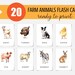 20 Farm Animals Cards, Montessori Flash Cards, Pre-school Cards ...