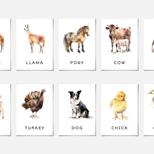 20 Farm Animals Cards, Montessori Flash Cards, Pre-school Cards ...