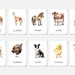 20 Farm Animals Cards, Montessori Flash Cards, Pre-school Cards ...
