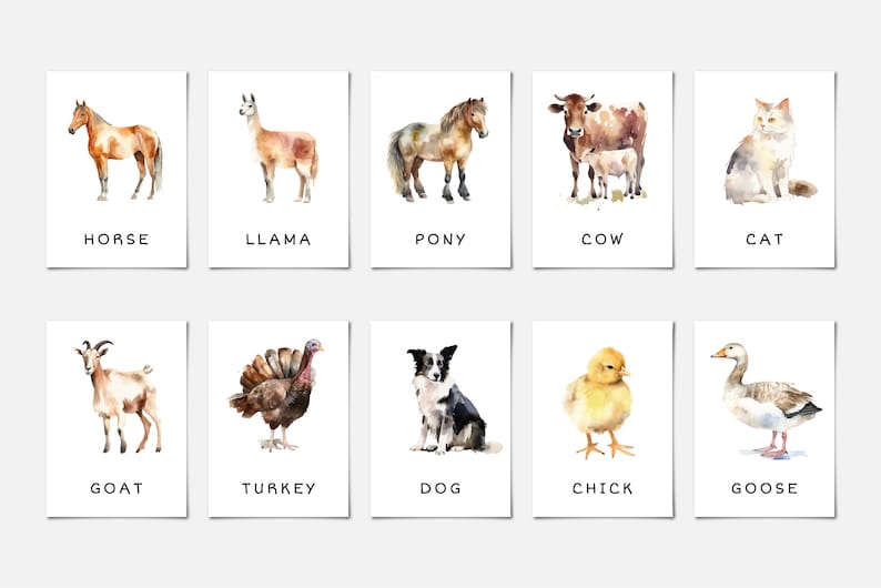 20 Farm Animals Cards, Montessori Flash Cards, Pre-school Cards ...