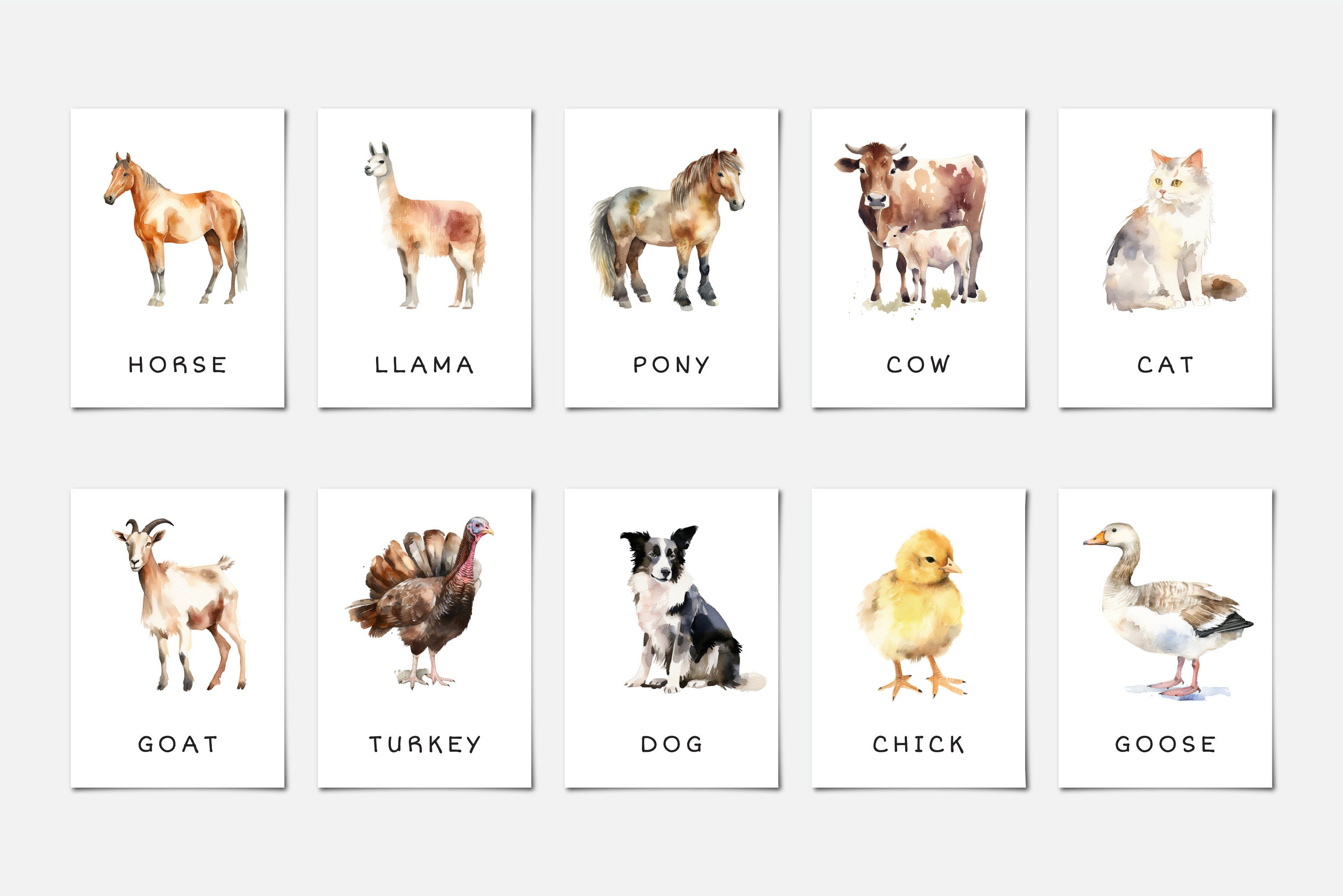 20 Farm Animals Cards, Montessori Flash Cards, Pre-school Cards ...