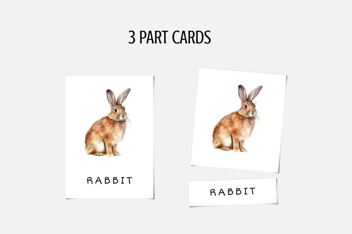 20 Farm Animals Cards, Montessori Flash Cards, Pre-school Cards ...