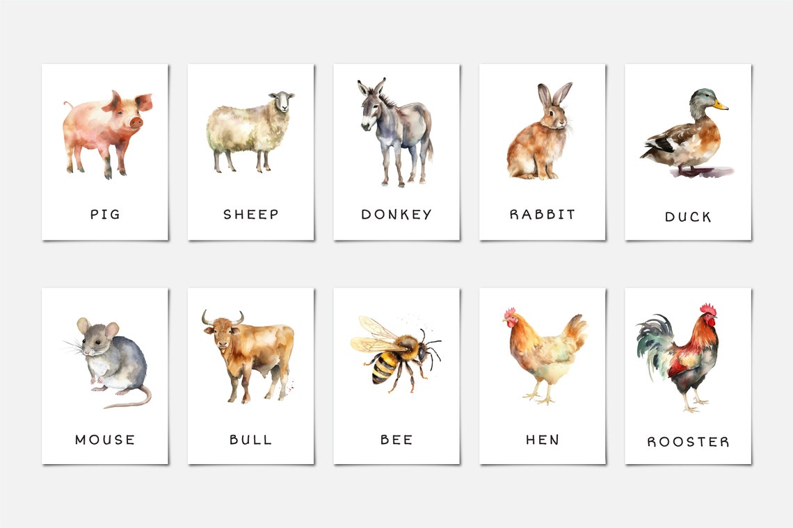 20 Farm Animals Cards, Montessori Flash Cards, Pre-school Cards ...
