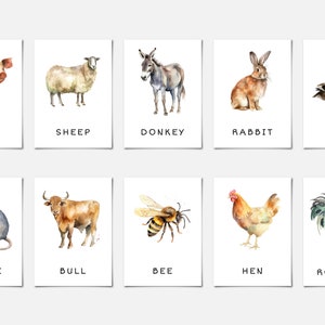 20 Farm Animals Cards, Montessori Flash Cards, Pre-school Cards ...