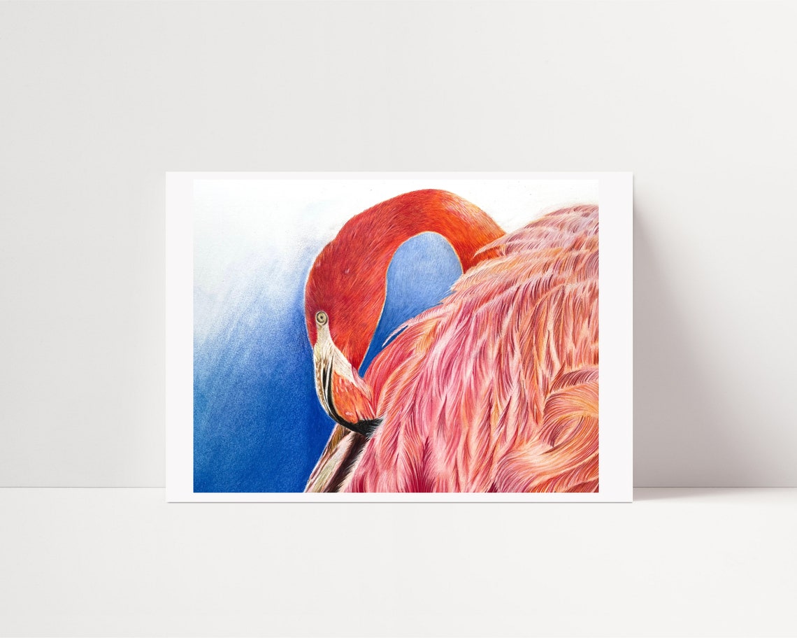 Flamingo Color Pencil Drawing, Bird Drawing,flamingo Art, Gift Art ...