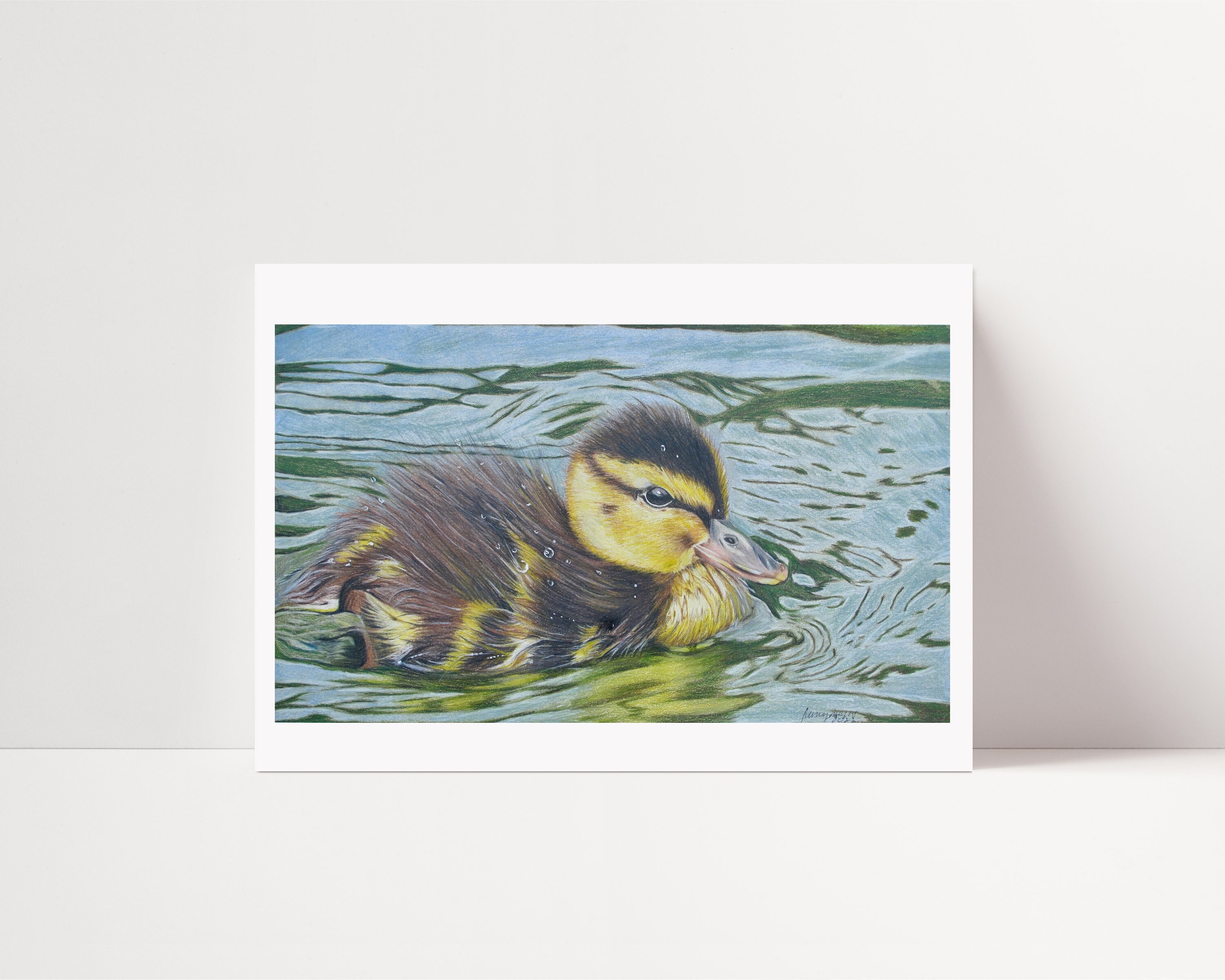 Duck Color Pencil Drawing Wall Art, Birds Color Pencil Drawing, Nursery ...