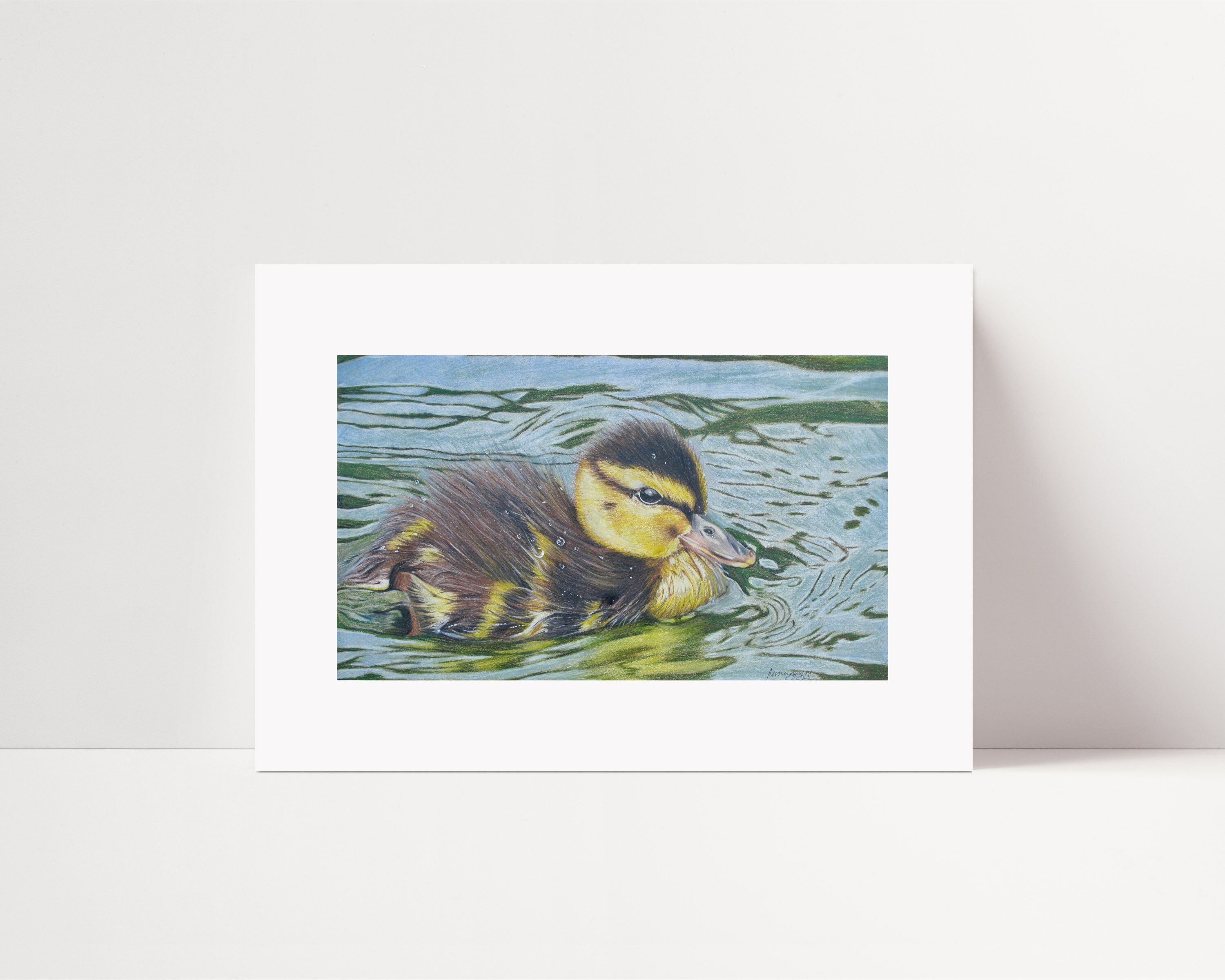 Duck Color Pencil Drawing Wall Art Birds Color Pencil - Etsy