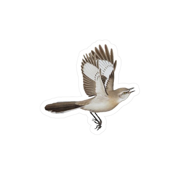 Mockingbird - Etsy