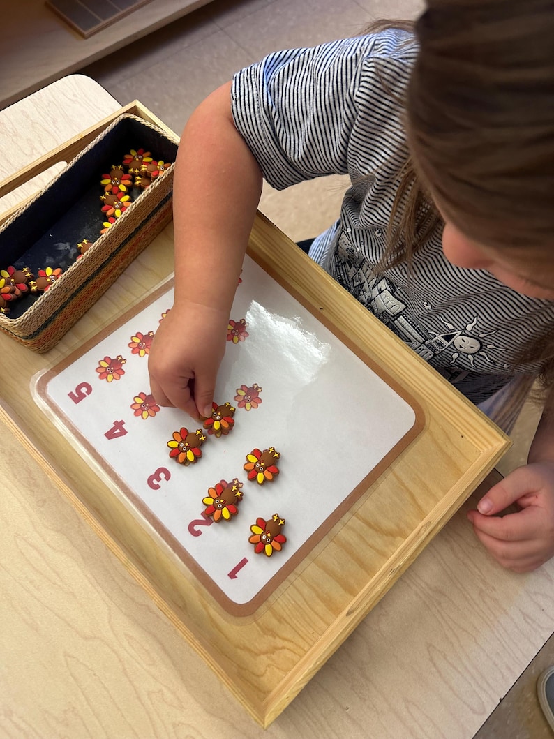 Montessori Counting Activity With Turkey, Thanksgiving Math Activity ...