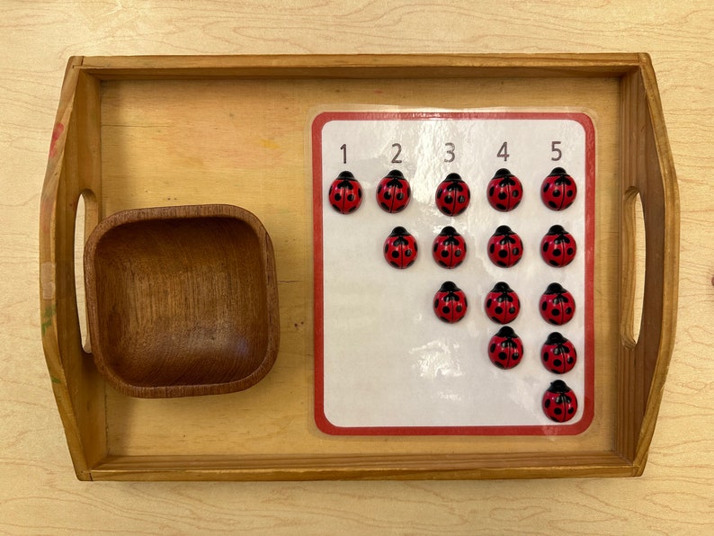 Montessori Counting Activity With Ladybug and Bee, Spring Math Activity ...