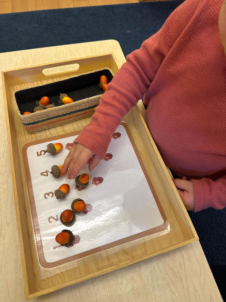 Montessori Counting Activity With Acorn, Fall Math Activity for ...