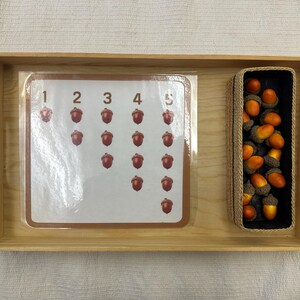 Montessori Counting Activity With Acorn, Fall Math Activity for ...