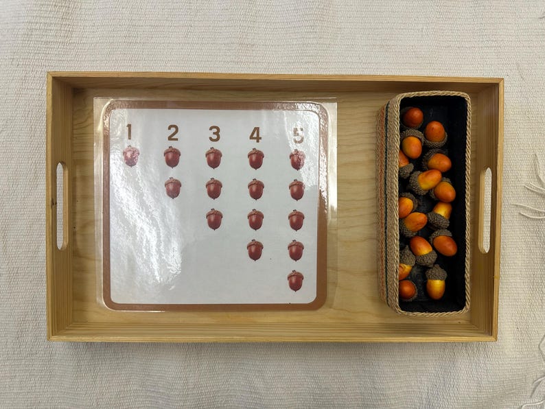 Montessori Counting Activity With Acorn, Fall Math Activity for ...