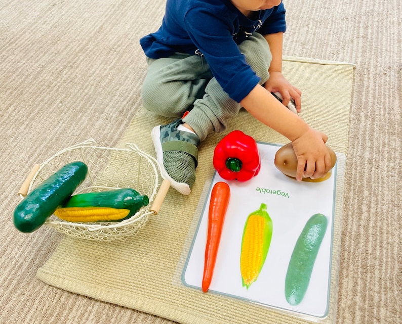 Montessori Printable Veggie Matching Work - Etsy