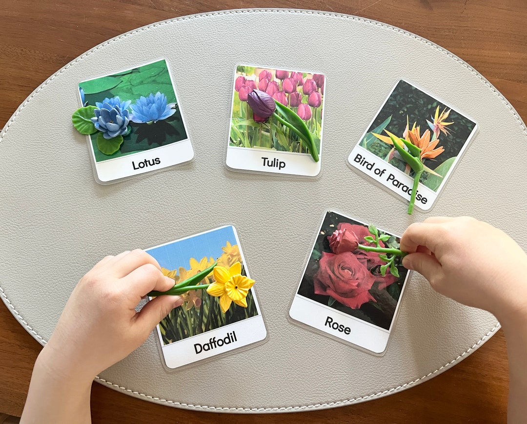 Montessori Printable Flower Matching Cards - Flower Images - Homeschool ...