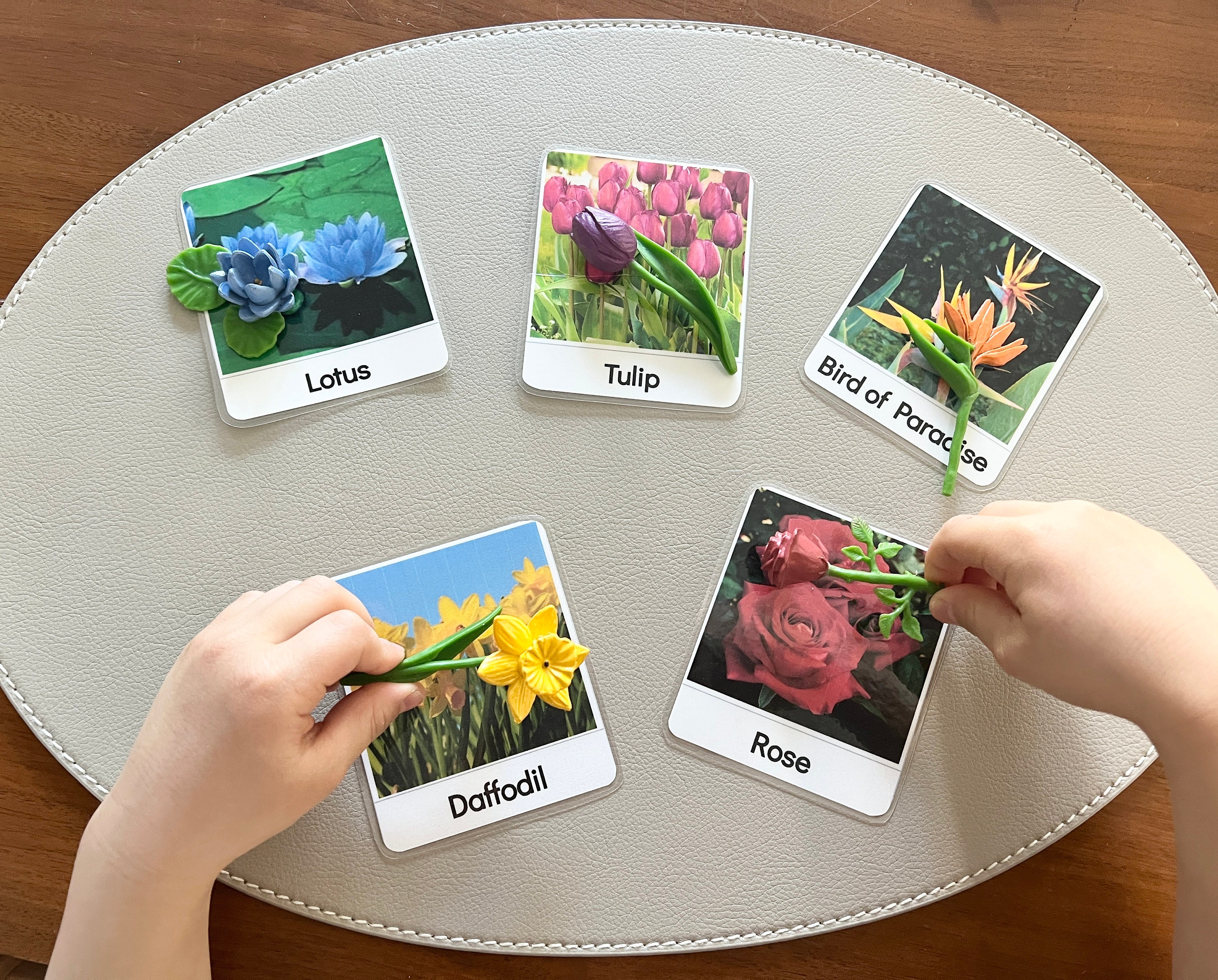 Montessori Printable Flower Matching Cards - Flower Images - Homeschool ...