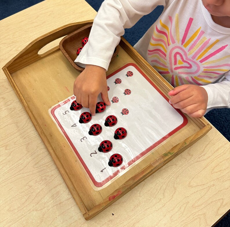 Montessori Counting Activity With Ladybug and Bee, Spring Math Activity ...