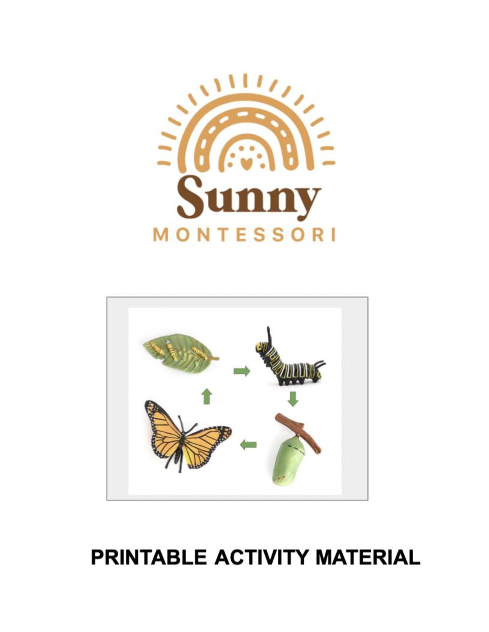 Montessori Printable Life Cycle of a Butterfly Matching Cards ...