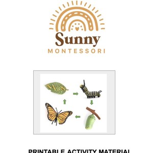 Montessori Printable Life Cycle of a Butterfly Matching Cards ...