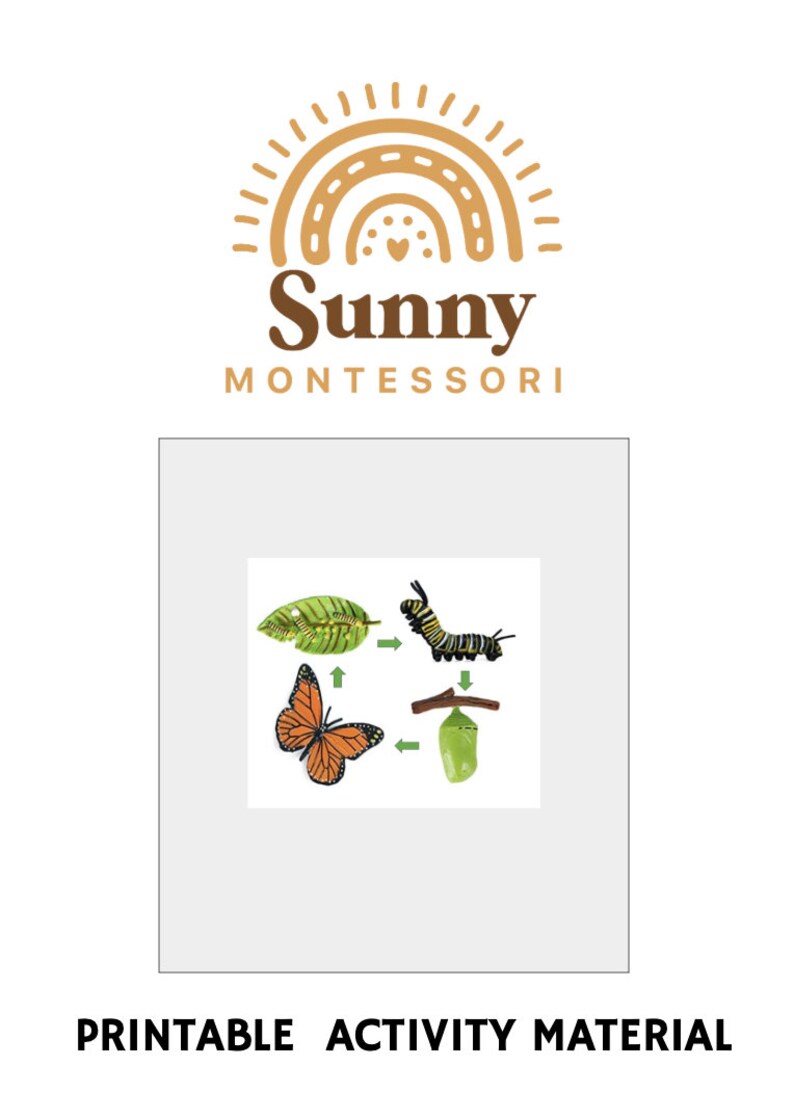 Ciclo de vida imprimible Montessori de una mariposa tarjetas a juego ...