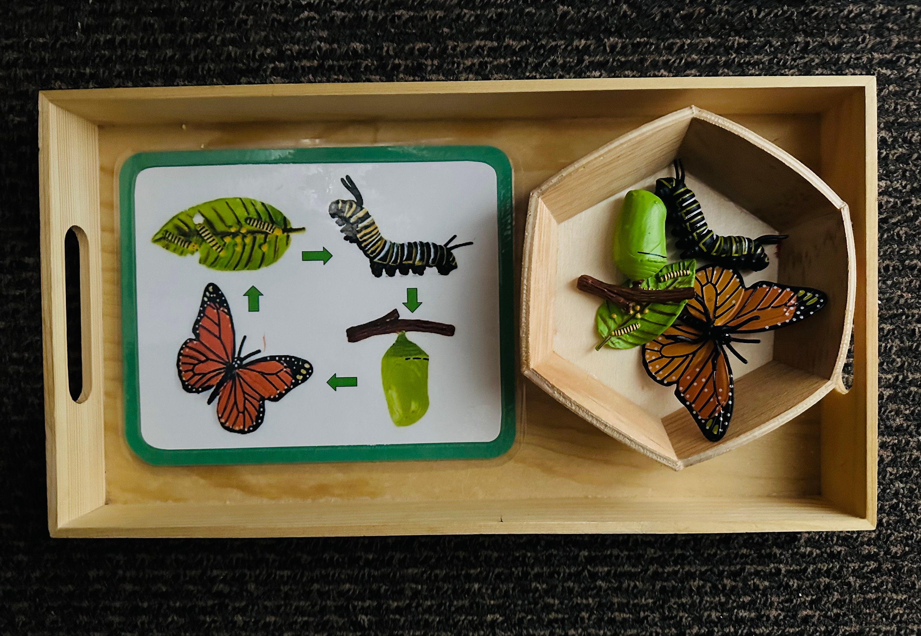 Montessori Printable Life Cycle of a Butterfly Matching Cards ...