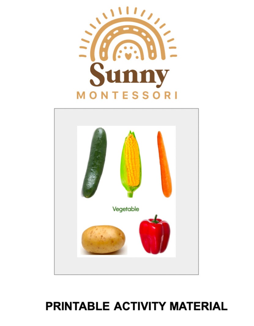 Montessori Printable Veggie Matching Work - Etsy
