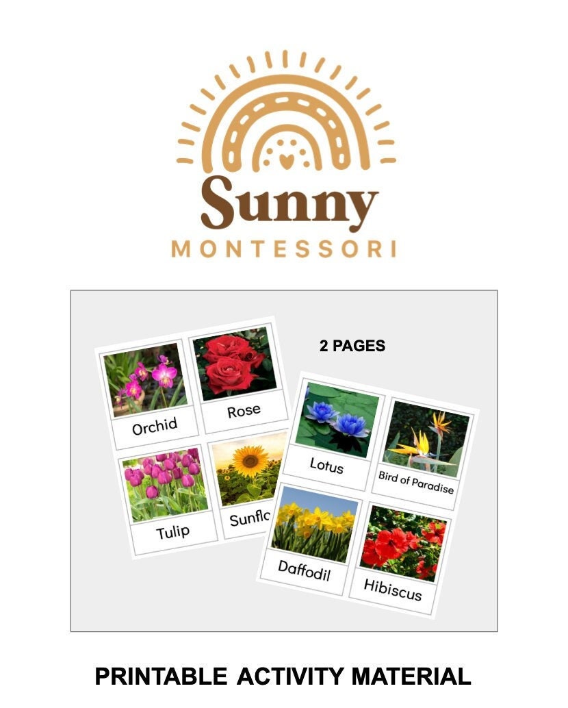 Montessori Printable Flower Matching Cards - Flower Images - Homeschool ...