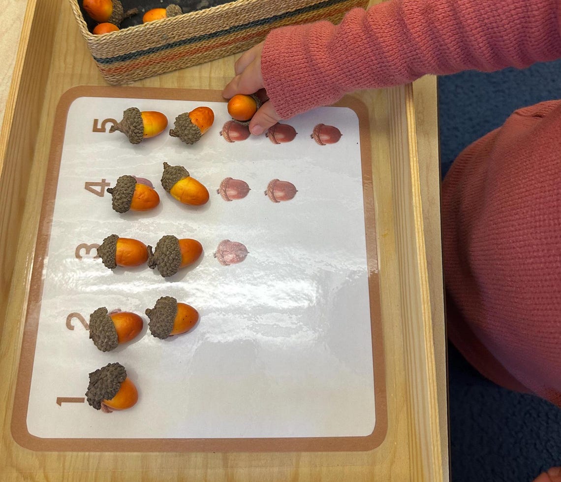 Montessori Counting Activity With Acorn, Fall Math Activity for ...