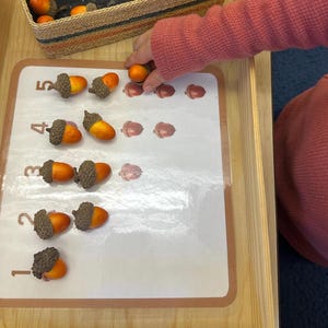 Montessori Counting Activity With Acorn, Fall Math Activity for ...
