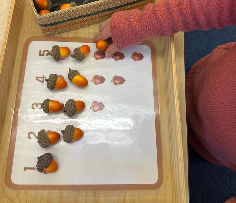Montessori Counting Activity With Acorn, Fall Math Activity for ...