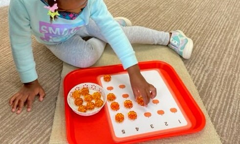 Montessori Counting Activity With Pumpkin, Halloween Math Activity for ...