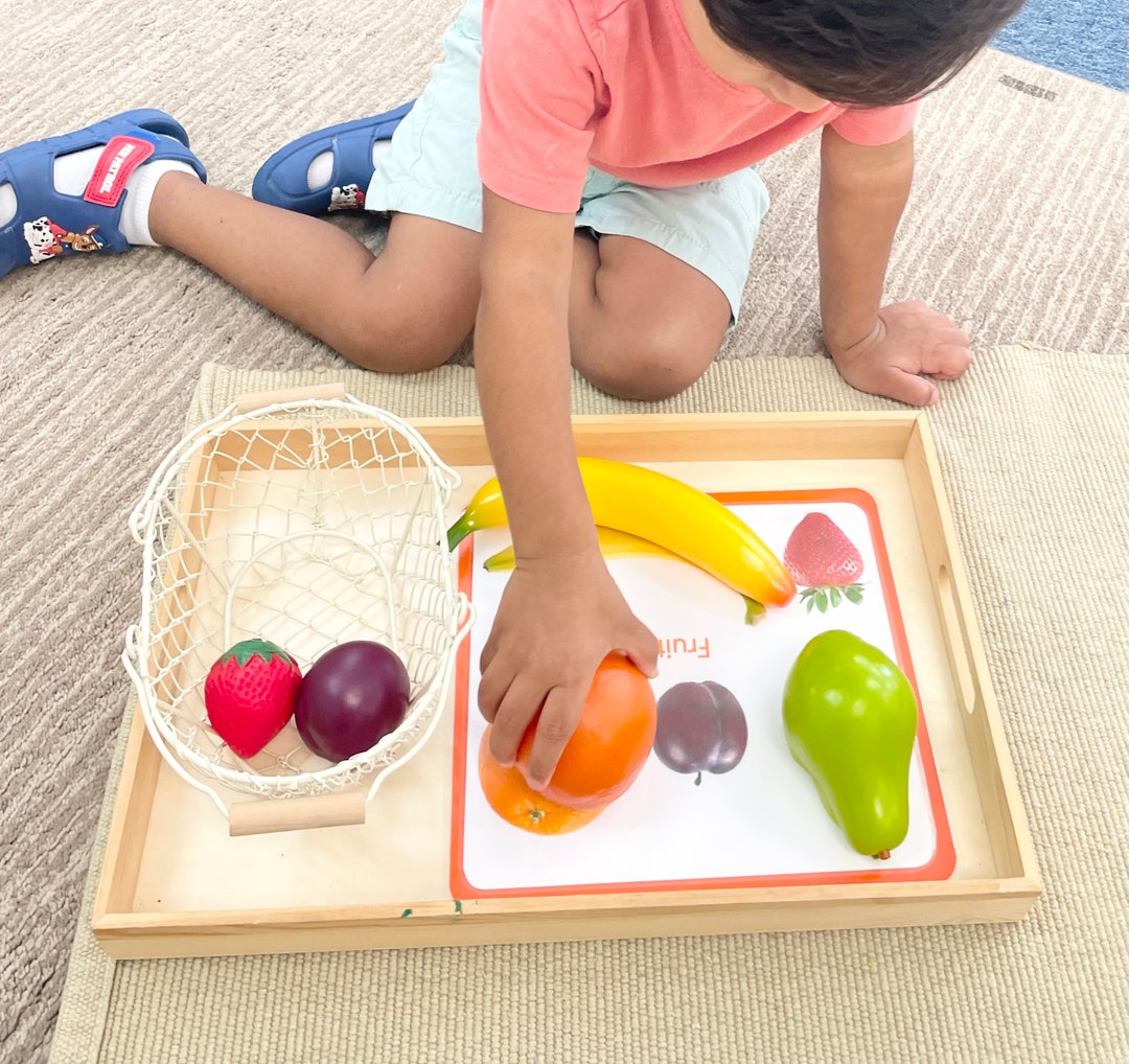 Montessori Printable Fruit Matching Work - Etsy