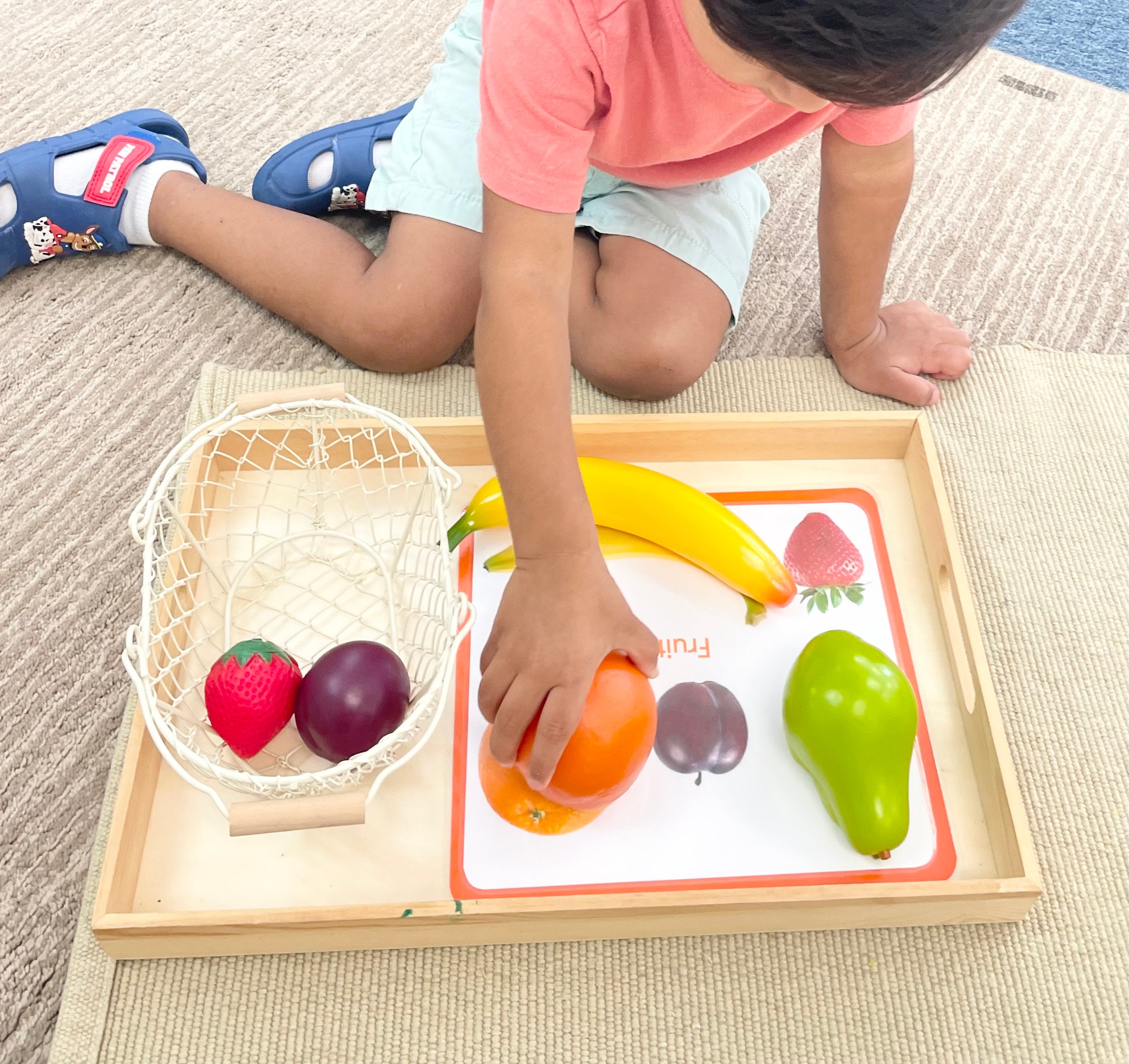 Montessori Printable Fruit Matching Work - Etsy