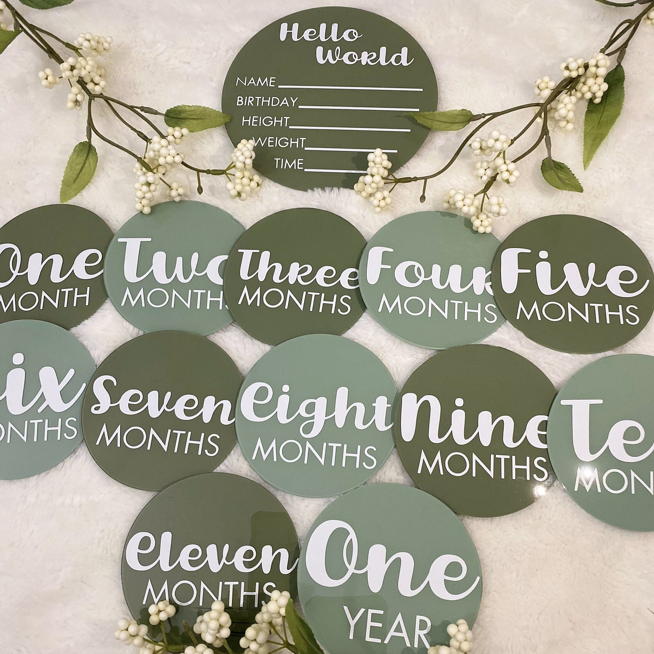 Acrylic Baby Milestone Disc Pink Pregnancy Update Disc Baby Bump Update ...