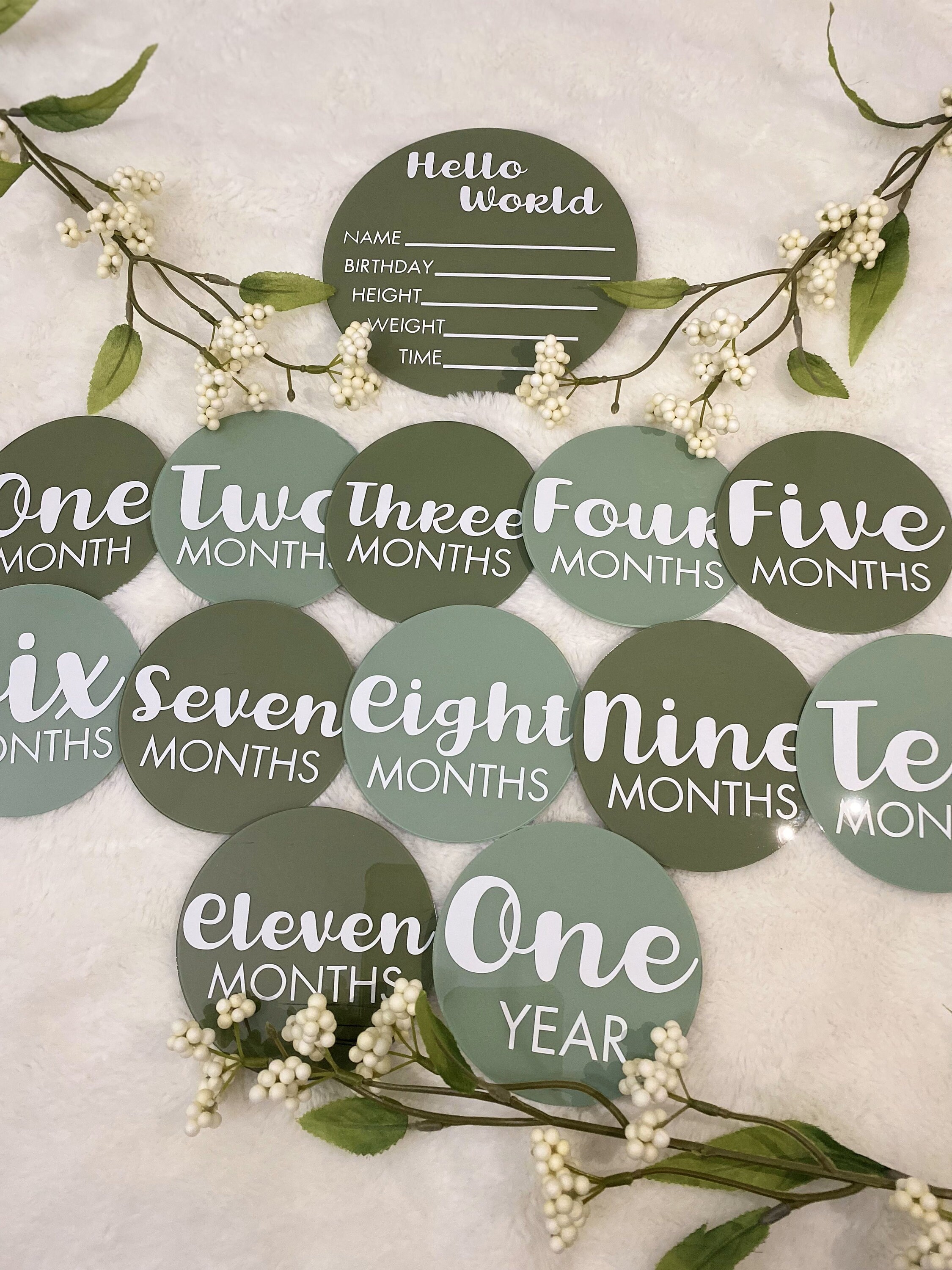 Baby Monthly Milestone Disc Baby Shower Gift for New Mom New Baby Gift ...