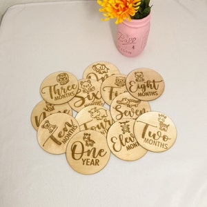 Baby Month Wood Milestones Photo Props With Animals Monthly Milestone ...