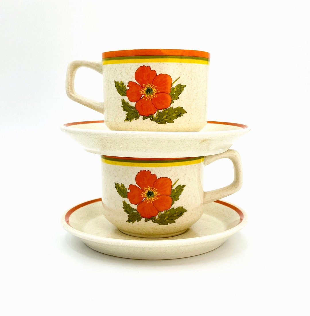 Pair of Vintage Mugs and Saucers Lenox Fire Flower Temper-ware - Etsy