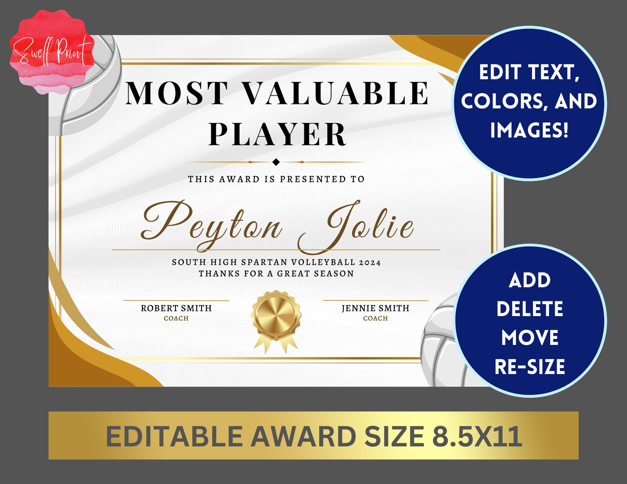 Editable Volleyball Team Award Templates, End of Season Awards, Award ...
