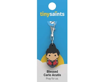 Blessed Carlo Acutis Vinyl Sticker Set - Etsy