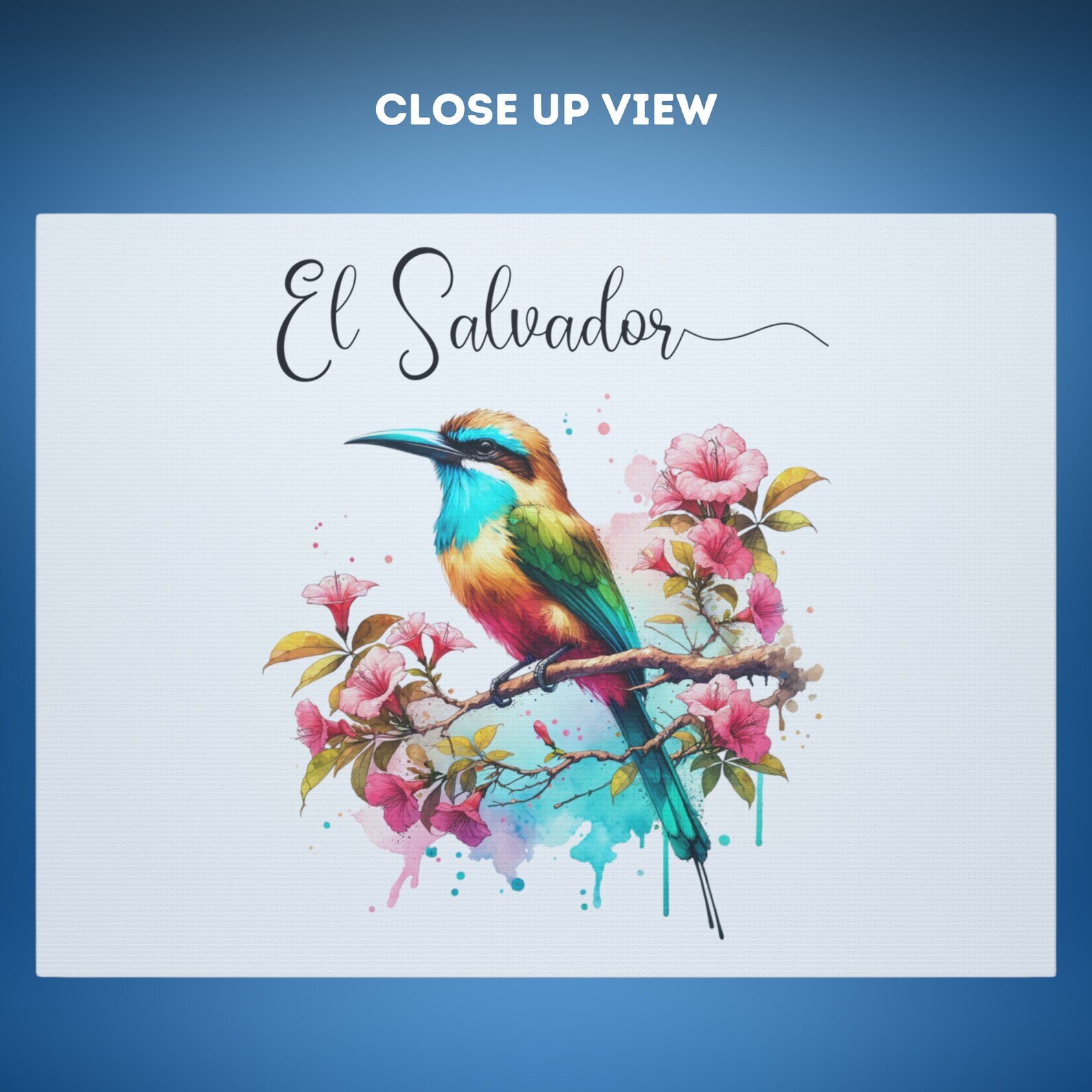 Tall Torogoz on Maquilishuat Tree Branch El Salvador Gallery Canvas ...