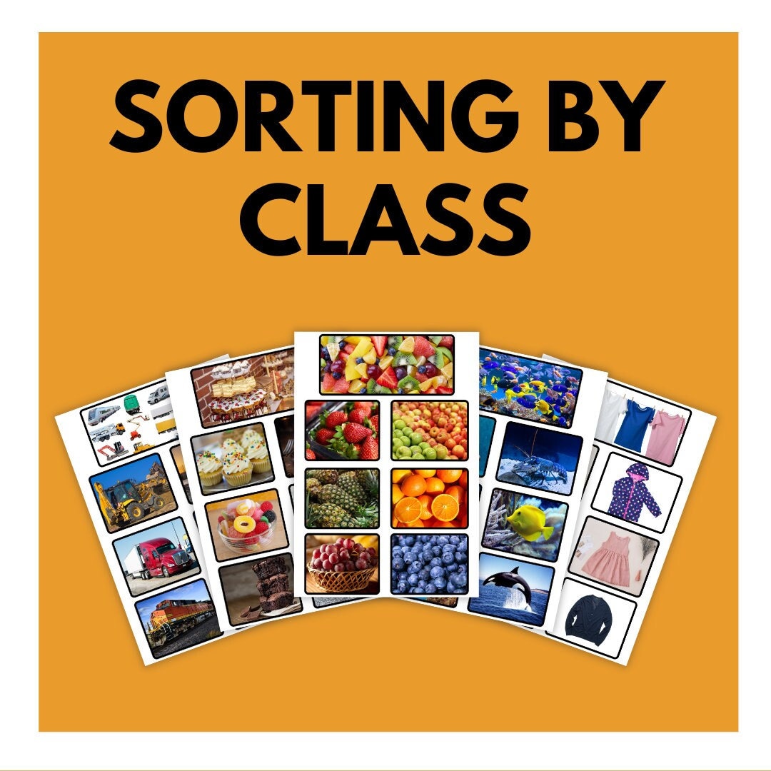 Sorting by Class 9 Different Categories 108 Pictures - Etsy